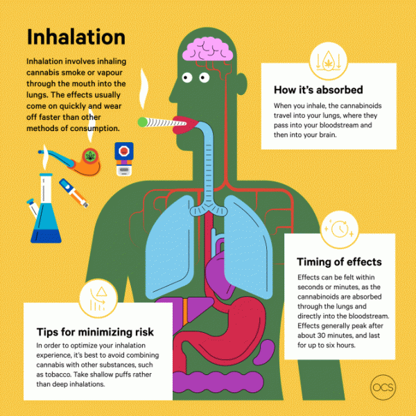 Consuming Cannabis: Inhalation – herbdon